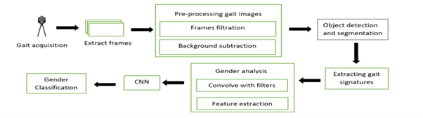 Gait Gender Classification